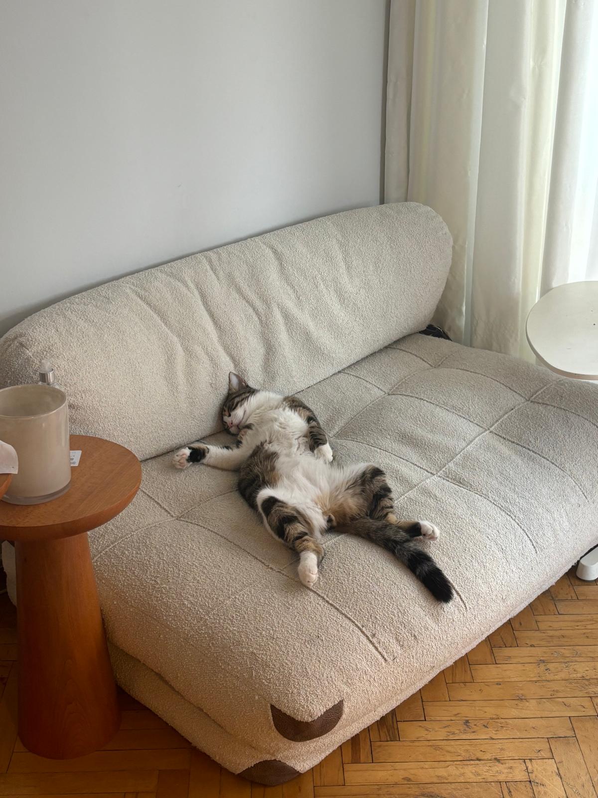 MIStraLab - Dilara Hasıl